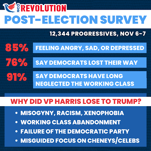 Post Election Survey Results - Our Revolution